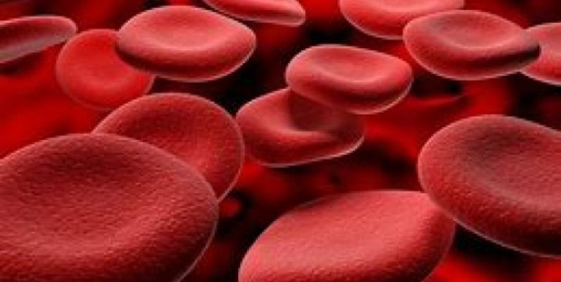 Comparative Analysis of Hematological Datasets in Predicting Anemia ... Comparative Analysis of Hematological Datasets in Predicting Anemia ...