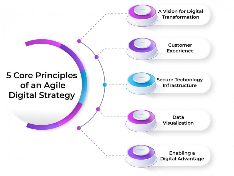 Build an Agile Digital Strategy based on these 5 Principles | by ...