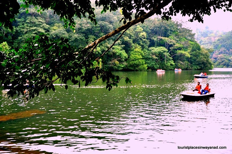 Wayanad — A Hidden Treasure. Wayanad is an amazing hill station in ...
