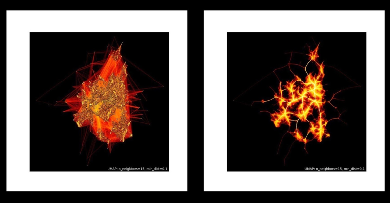 UMAP Technique Overview. A quick case study on my experience… | by ...