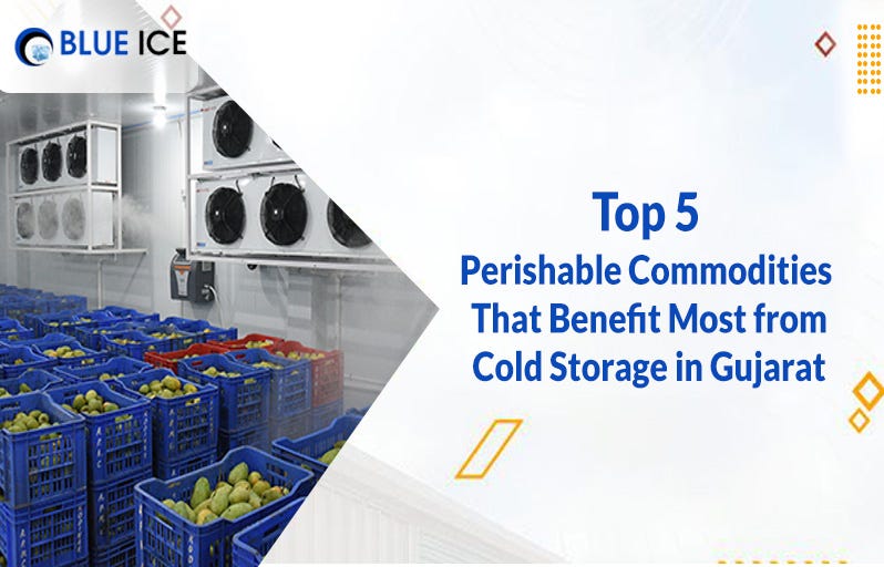 Top 5 Perishable Commodities That Benefit Most From Cold Storage In ...