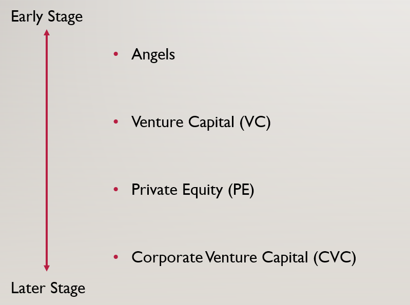 Types of Startup Investors. A brief, high-level overview of typical ...