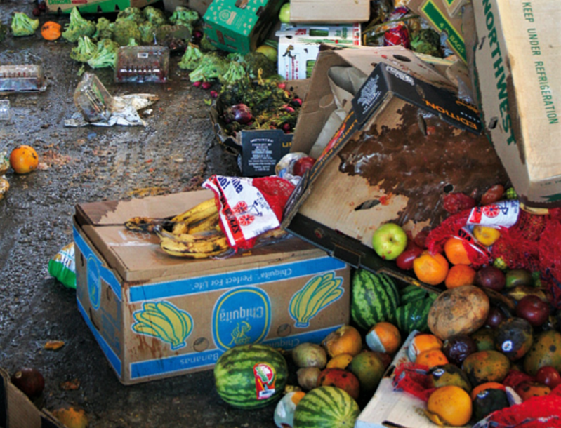 Top 10 Shocking Food Waste Fast Facts | by Tristan Pokornyi | Medium
