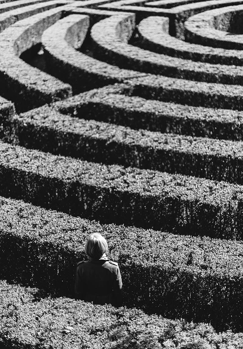 Title: The Maze of My Life. The Maze of My Life | by The Truth Shall ...