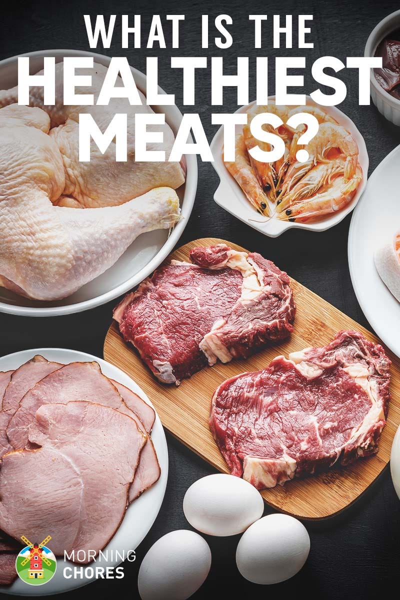 The five Healthiest Types of Meat to Know About | by Hello Meals On Me ...