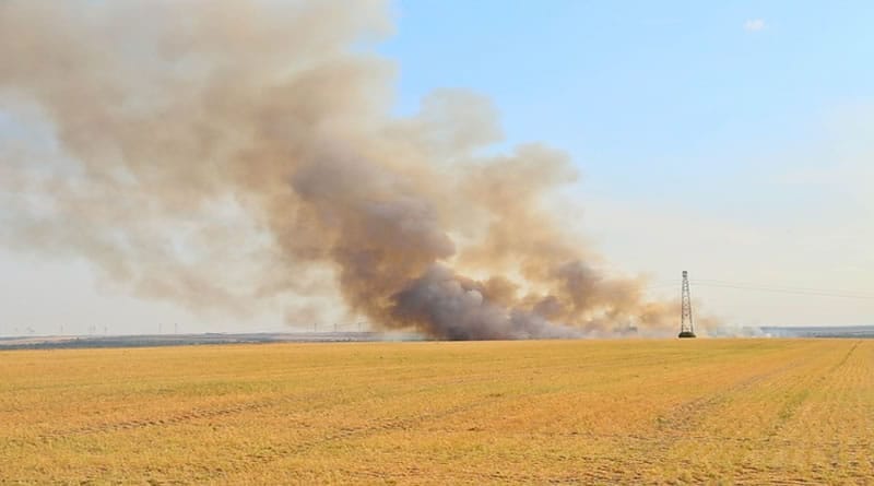 8 Facts that May Help You Survive a Bushfire or Grassfire | by ken ...
