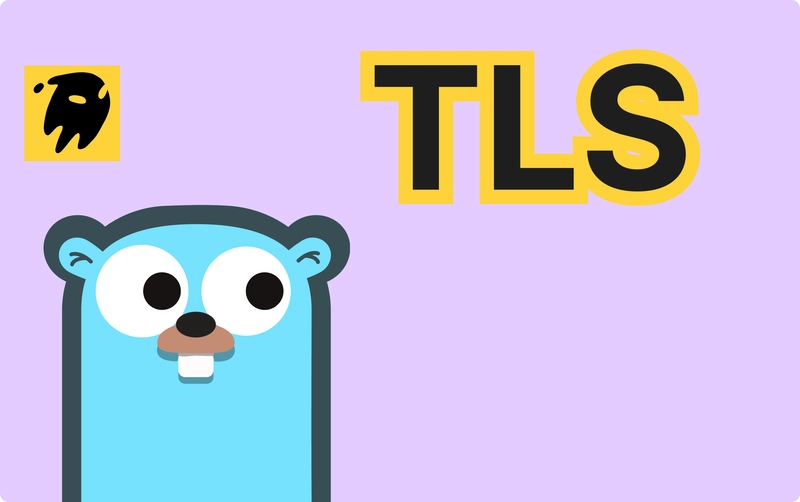 Complete TLS Workflow in Golang Made Simple: Full Process Explained | by Leapcell | May, 2025 ...