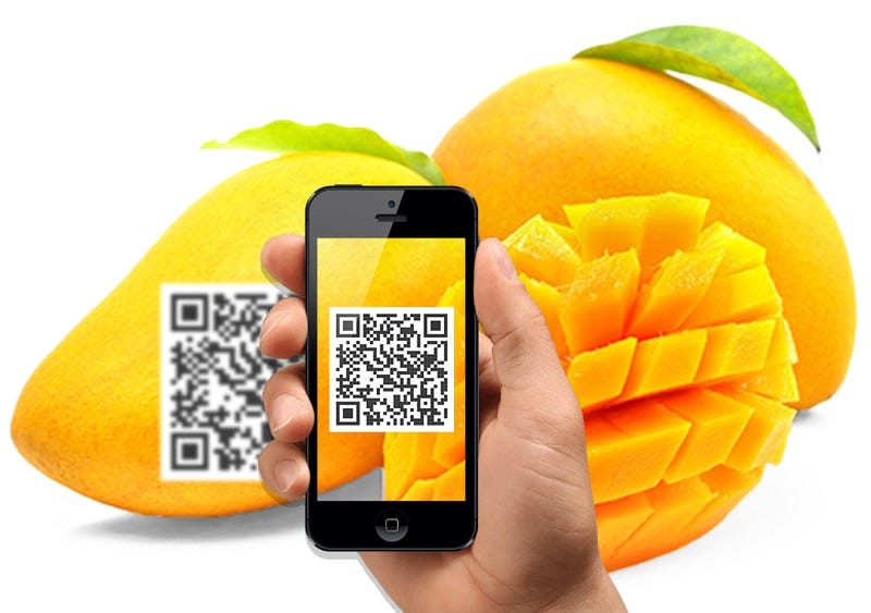 Fruitchain — A Breakthrough for the Future of Agriculture | by Infinity ...