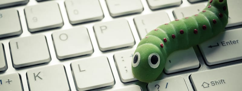 Explaining Worms. A computer worm is a subset of the… | by Arth Awasthi ...