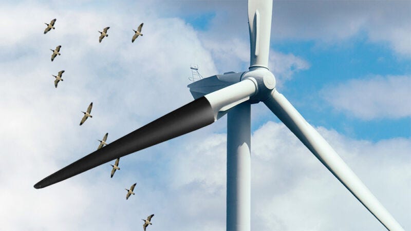 Wind Energy and Migration Birds. In the Martinez project, I proposed ...