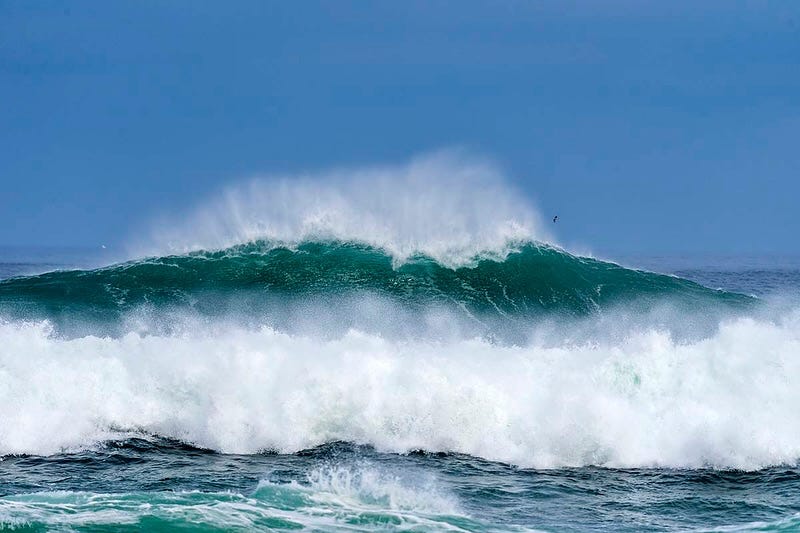 LA VACA GIGANTE 2024–25 | by Surferrule | Mar, 2025 | Medium