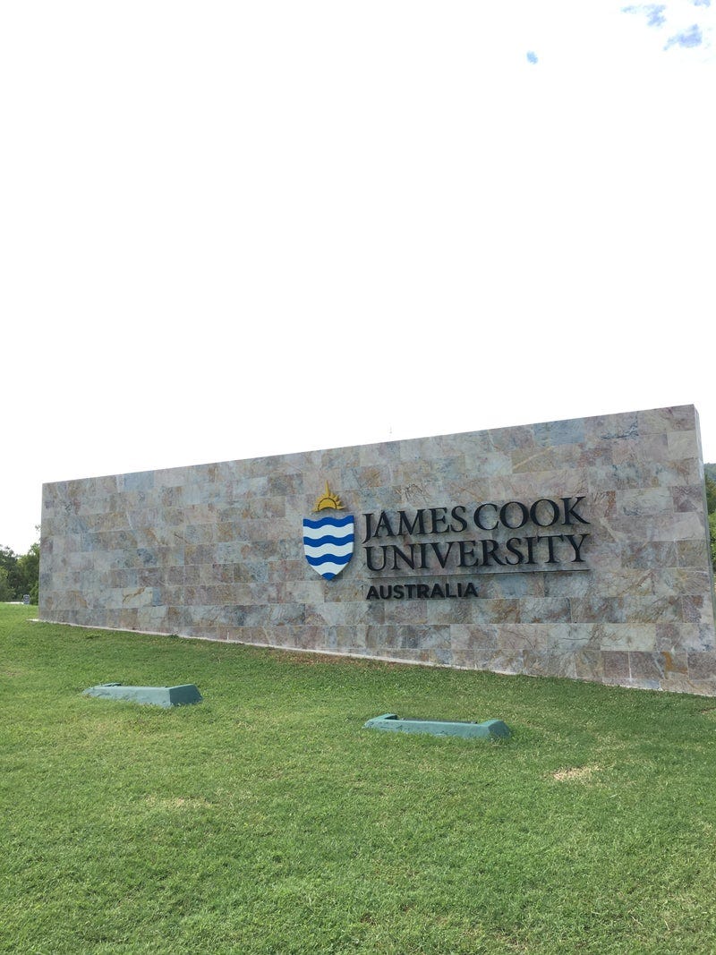 How I came to share my experience at an overseas university? | by Ikki Ueda | Medium