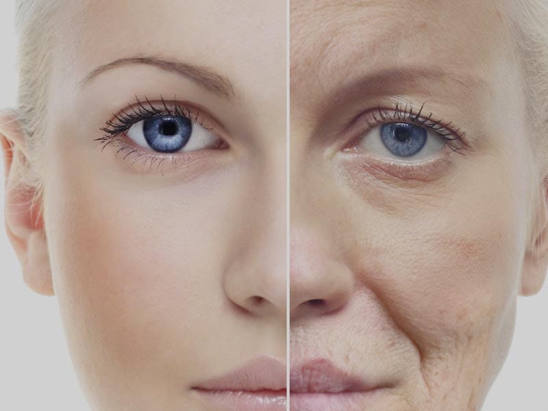 Unlocking the Fountain of Youth: Anti-Aging Diet Tips for a Youthful ...