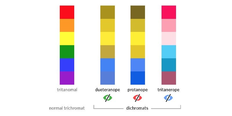 How red-green colorblindness is different from other types of ...