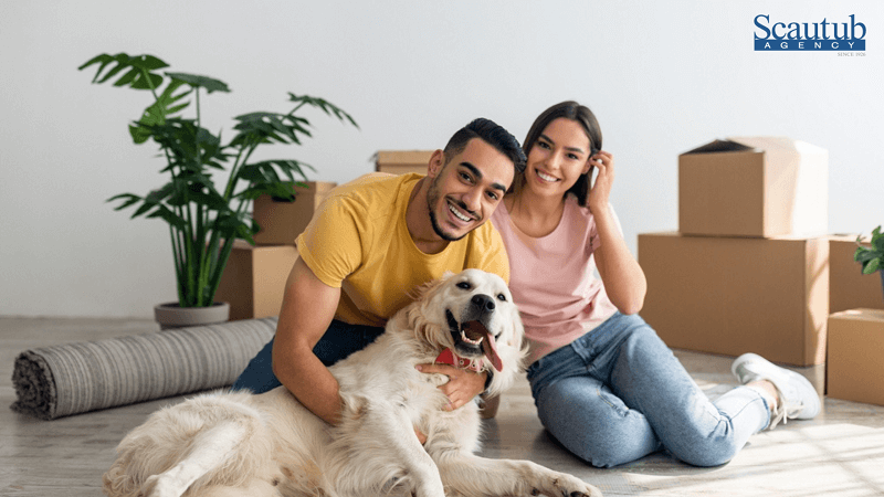 What are the Pros and Cons of Having Pets On Your Rental Property? | by ...