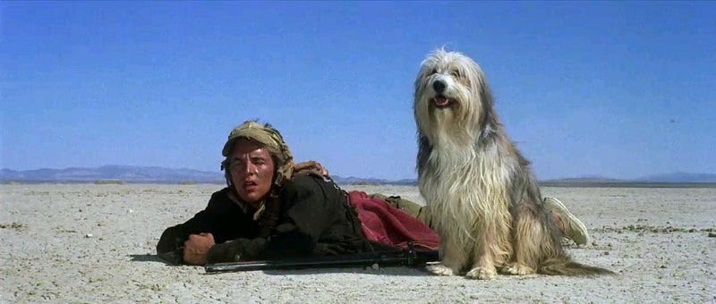 Some of the most unusual movies of all time | by Craig Gilmore | Medium