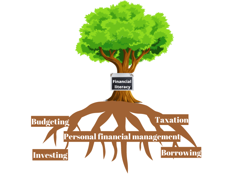 What is the Financial Literacy?. If you know how to manage your money ...