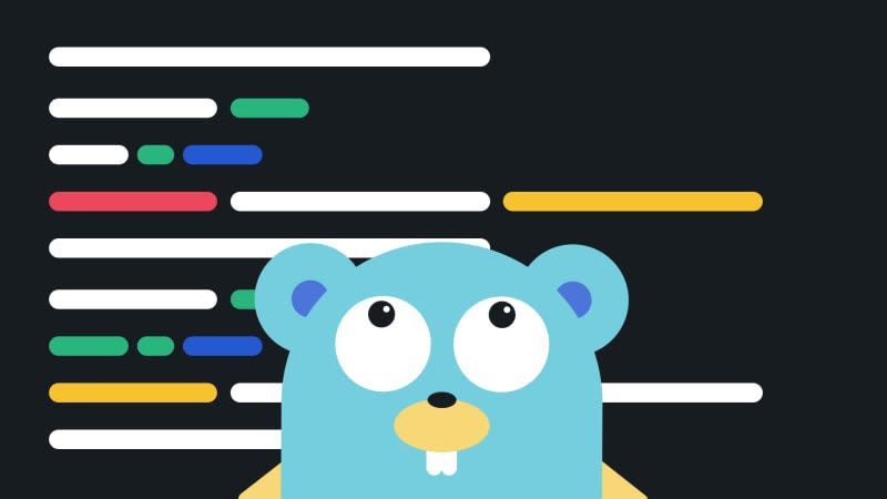 Golang Command Line Arguments Best Practices And Examples By Roniee 0290