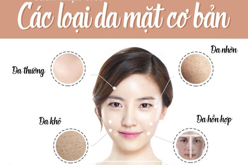 cach xac dinh cac loai da mat co ban | by Seoulspa | Medium