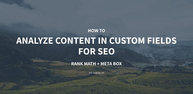 How to Analyze Content in Custom Fields for SEO — Using Rank Math and Meta Box | by Janessa Tran ...
