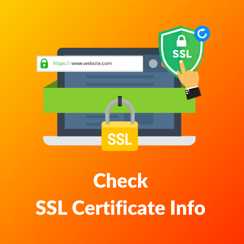 Check Website SSL Certificate: Ensure Your Site’s Security! | by Tanima Ferdous | Jul, 2024 | Medium