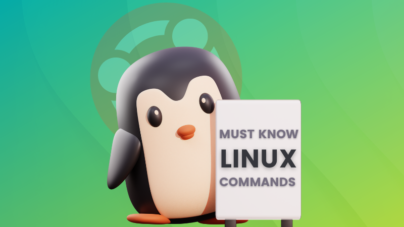 Most Used Linux Commands. Basic Info & Help Commands | by The Commoness ...