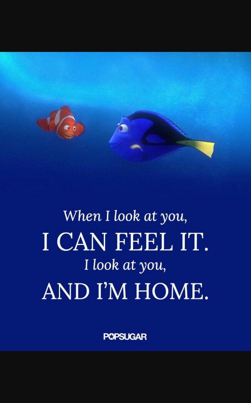 I look at you, and… I’m home. One click compose multiplatform template ...
