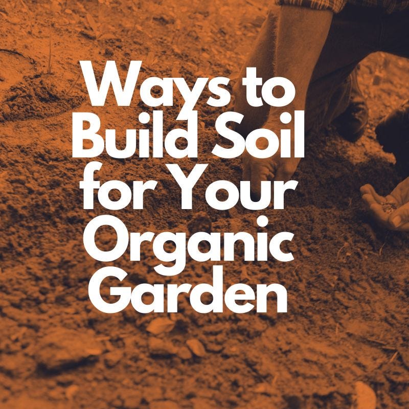 10 Ways to Build Soil for Your Organic Garden | by Ecorganicass | Feb ...