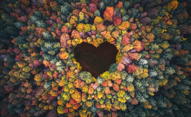 The Art of the Guarded Heart. When used mindfully, a guarded heart is ...
