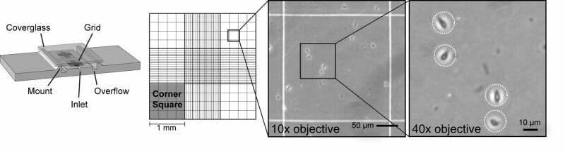 What Is a Hemocytometer? - ChinchillaLifeSci - Medium