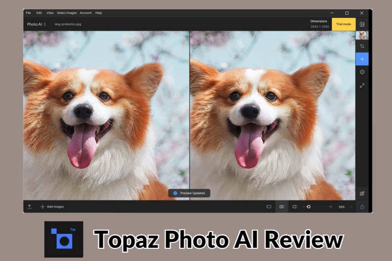 Topaz Photo AI Review 2024: Is It Worth it? | by Ruby | Jun, 2024 | Medium