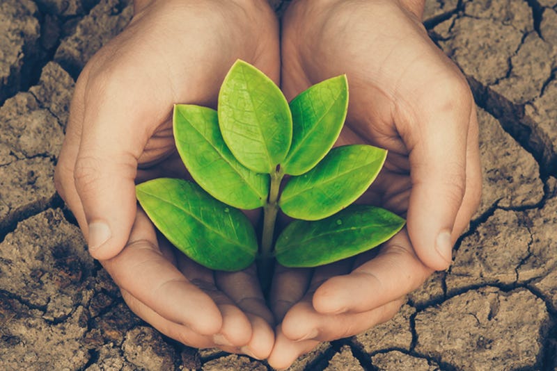 ISO 14001 Consulting and Certification Services in Delhi | by Sahana ...