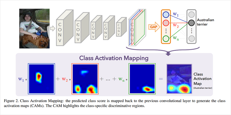 XAI(Explainable AI). CAM(Class Activation Map) CAM(Class… | by MTB | Medium