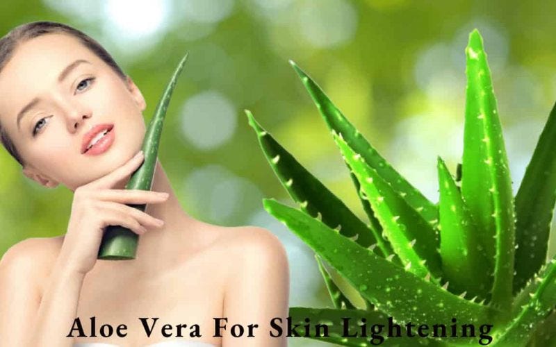 Aloe Vera For Skin Lightening| 5 Effective Tips | by Kilinava | Medium