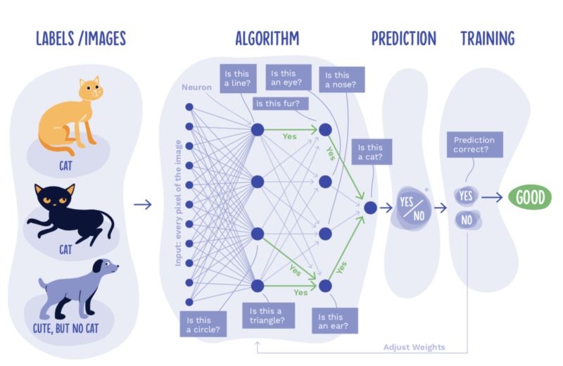 How to Build and Train a Deep Learning Model: A Step-by-Step Guide | by ...