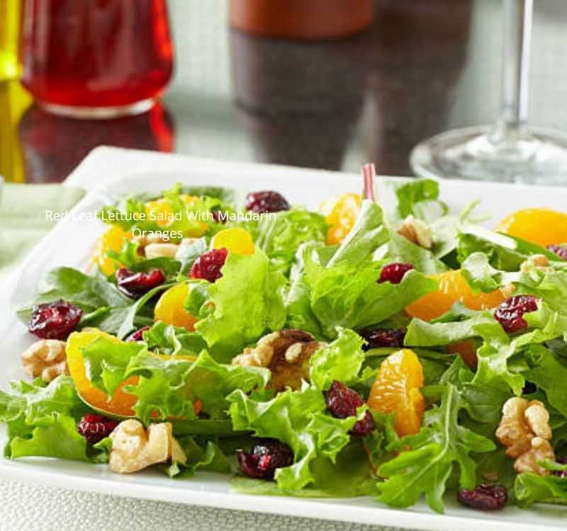 Red Leaf Lettuce Salad. Red leaf lettuce salad is an ideal… | by Maria ...