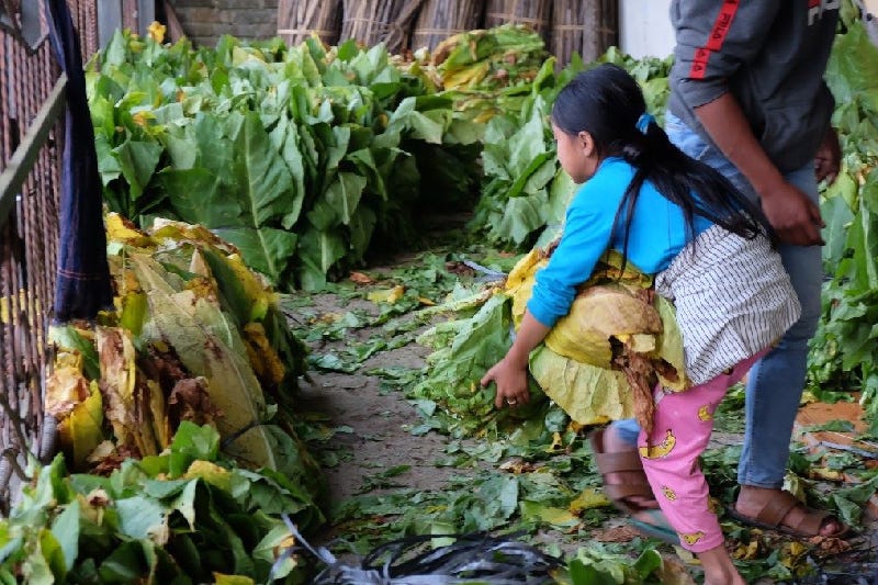US Department of Labour’s efforts to combat child, forced labour in ...