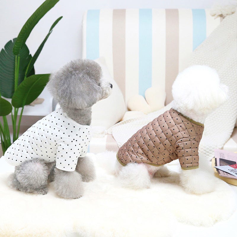 Your selection of fashionable doggie outfit | by Landhippois | Medium