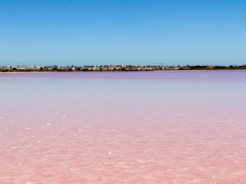 Taking a dip in Spain’s pink lake | by Breaking Abroad | Medium