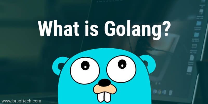 What Is Golang Programming Language? | by bispendrasingh0008 | Medium