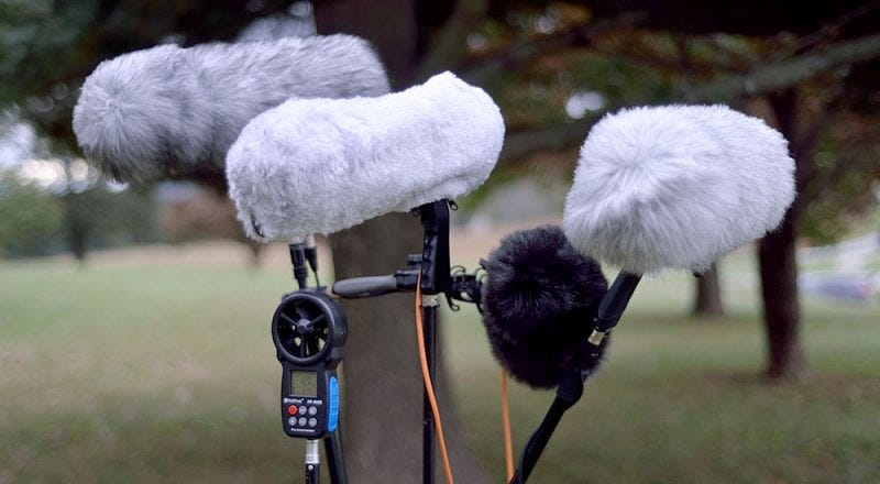 How to record sea sounds. What to do when wind and water affect… | by ...