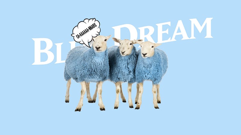 Blue Dream: Why is it so Popular? | by Dinaescalante | Medium