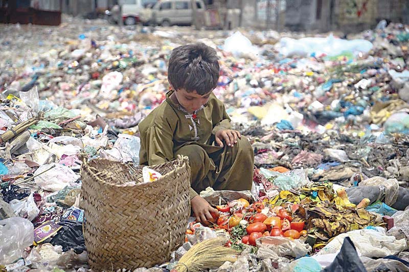 Infections, diseases and vermin, all you can catch from here | by Usman ...