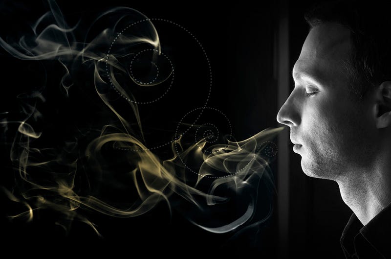 What is it called when a smell reminds you of memory? - Saminazaheer ...