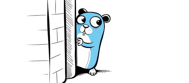 We Burned Six Months Writing A Golang Framework — Then Deleted It All By Threadsafe Diaries