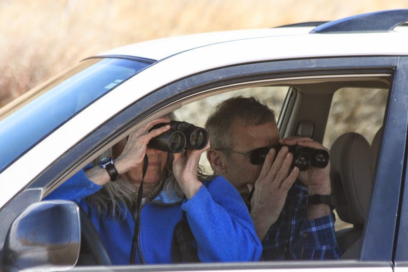 On Contemplative Hobbies. A Jon Franzen-Inspired Reflection on… | by ...