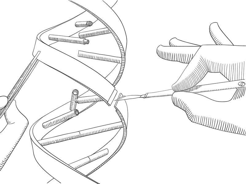 Prime Editing: A New Take on CRISPR | by Kyle Kalindjian | Medium