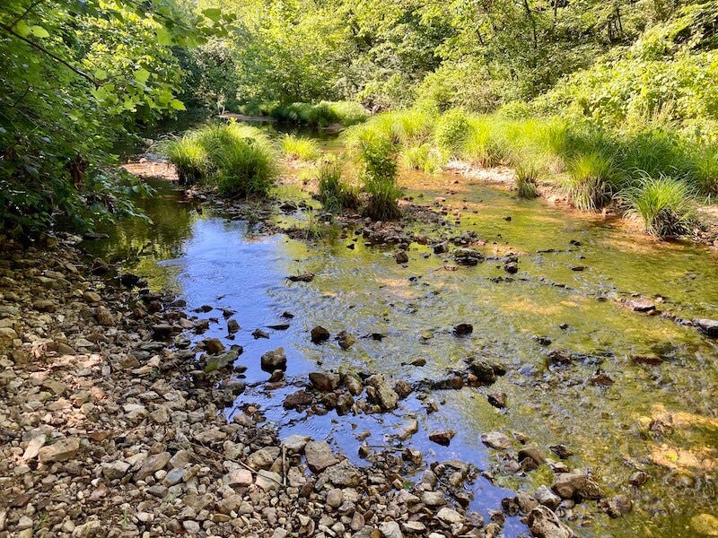Berryman Trail Loop to Harmon Spring | by Todd Smith | Medium