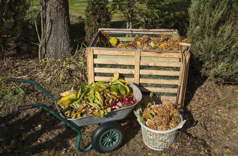 Composting: Saving the Planet, One Pile at a Time | by The ...