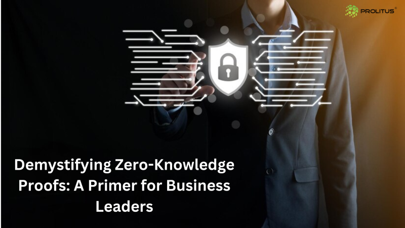 Demystifying Zero-Knowledge Proofs: A Primer for Business Leaders | by Prolitus Technologies ...